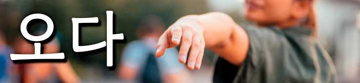 20 verbos em coreano essenciais para sua sobrevivência!