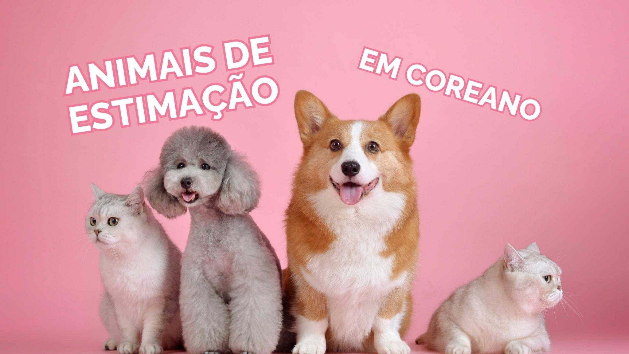 12 Animais de estimação em coreano - Coreano Online